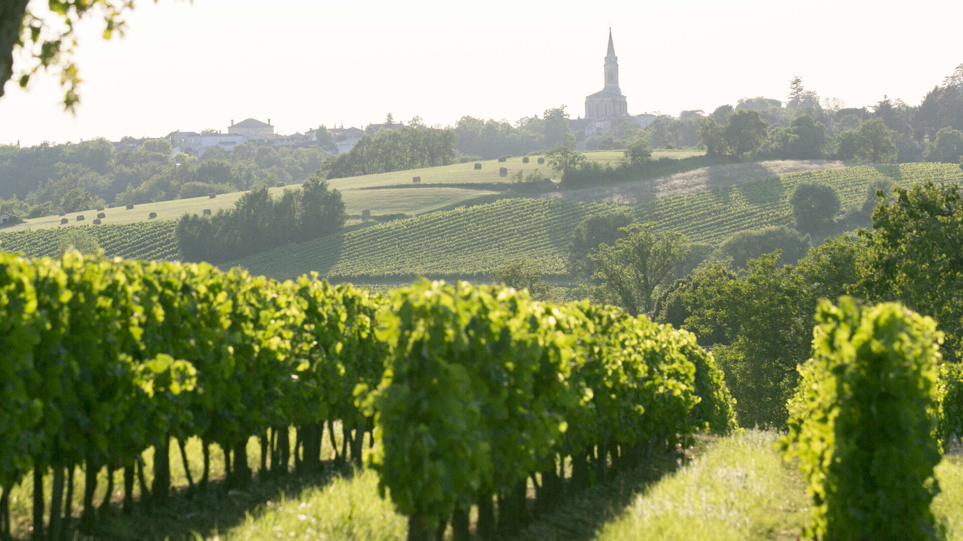 Die 6 Weinregionen von Bordeaux